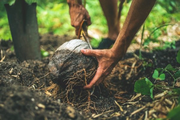 How To Make Organic Compost for Your Garden | DIY Composting