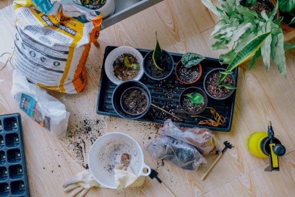 23 Practical Gardening Skills Every Gardener Should Have Handy
