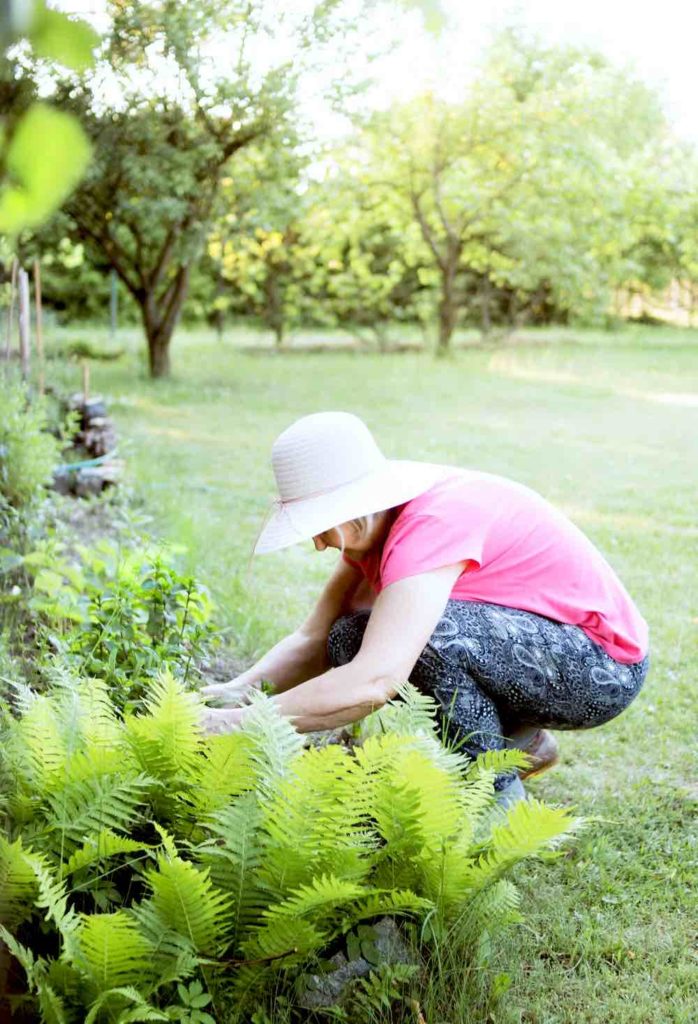 23 Practical Gardening Skills Every Gardener Should Have Handy