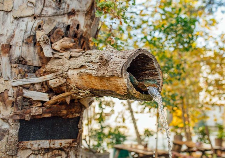 11 Easy DIY Garden Projects Anyone Can Do This Fall Season